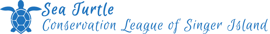 How to Help - Sea Turtle Conservation League of Singer Island
